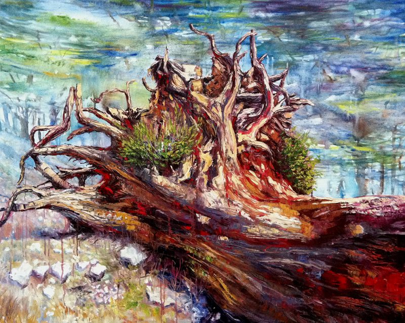 cedar-roots – The Polymath Perspective