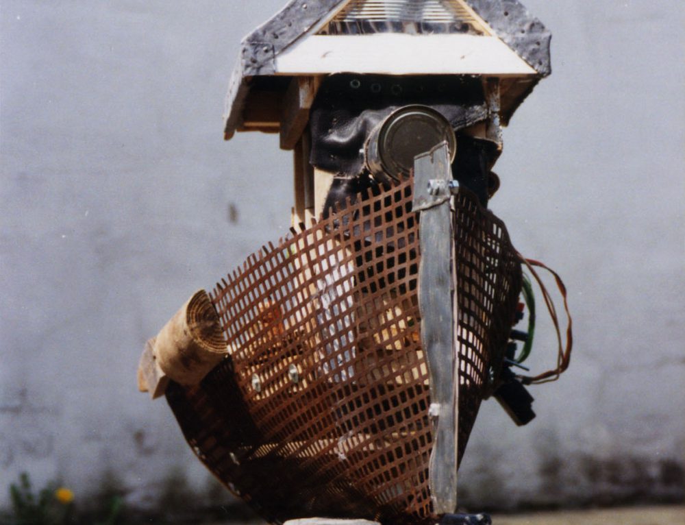 The Meaning Of Life? – The Polymath Perspective