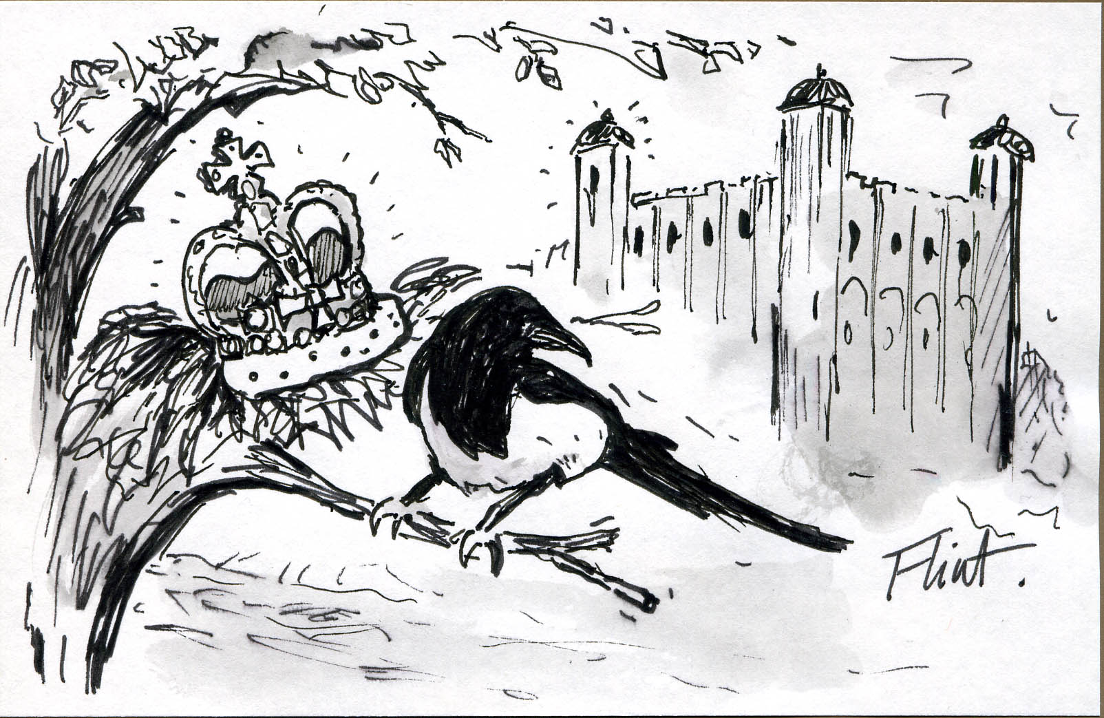 Polymath Cartoons – The Polymath Perspective